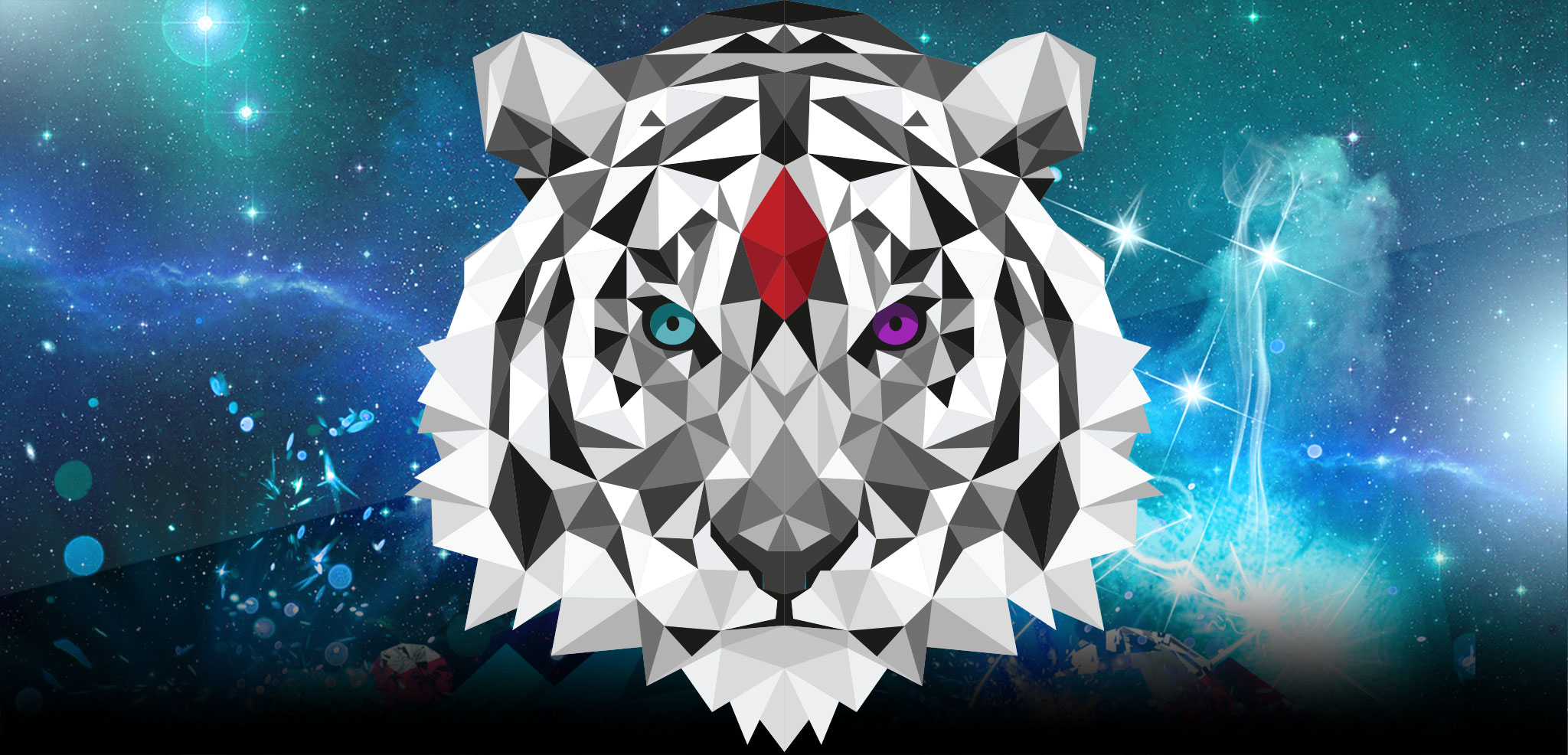 Zyger - WordPress Development - Design - Hosting - Cape Town